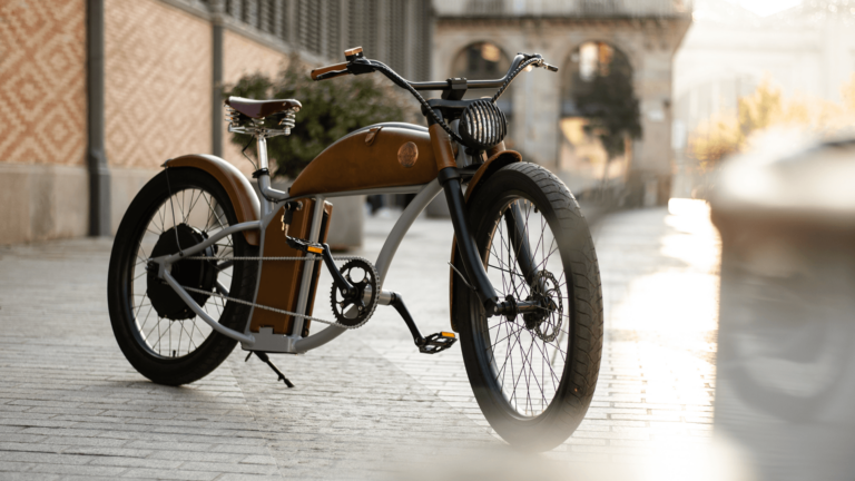 Rayvolt Cruzer - on-my-bike en